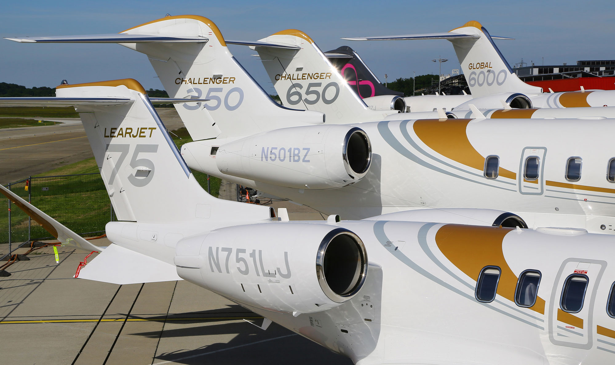 Birds of a Feather Fly On Biofuel Together | Business Jet Traveler