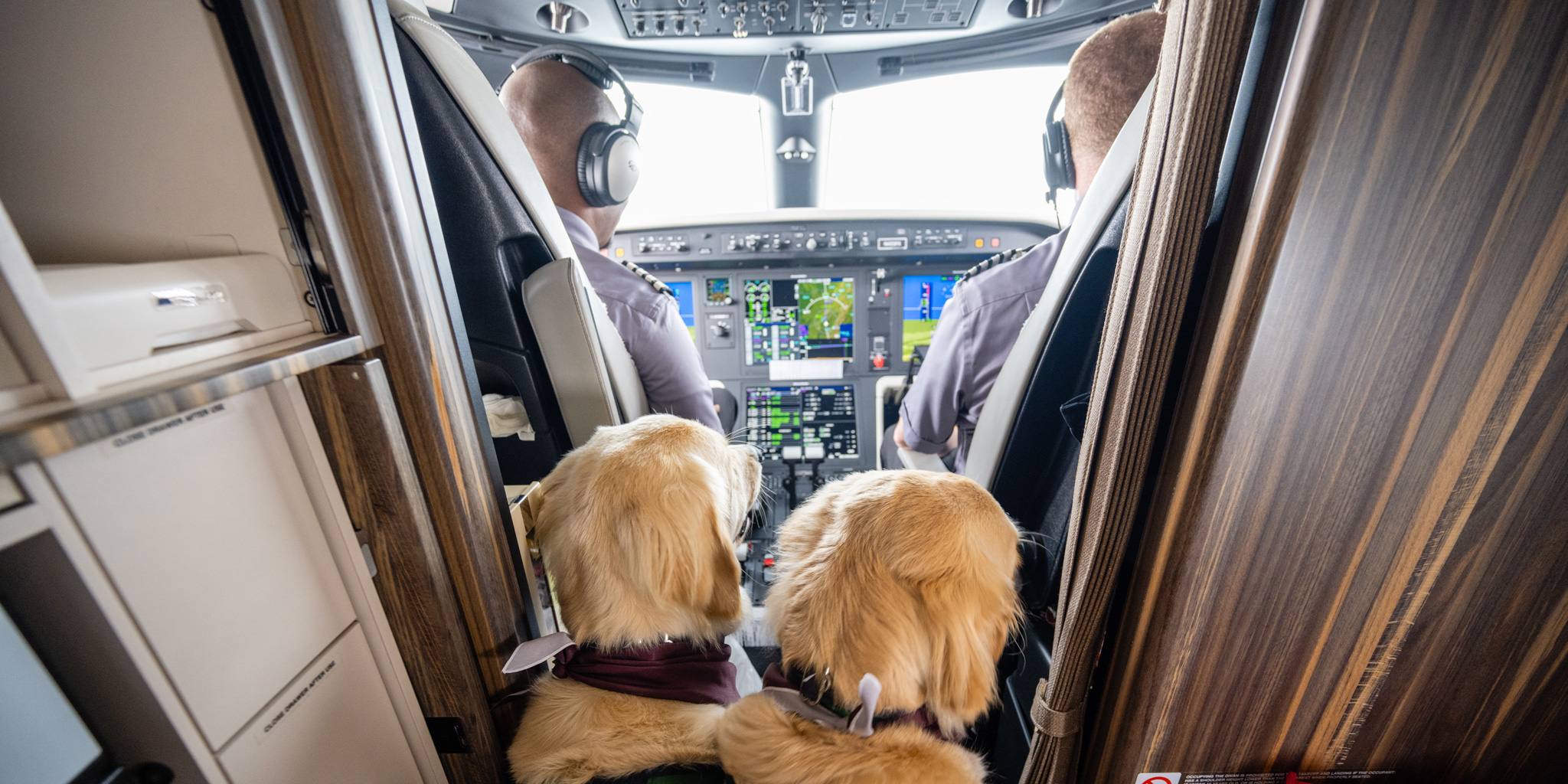Flexjet Assists in VIP ('Very Important Pooch') Delivery | Business Jet ...
